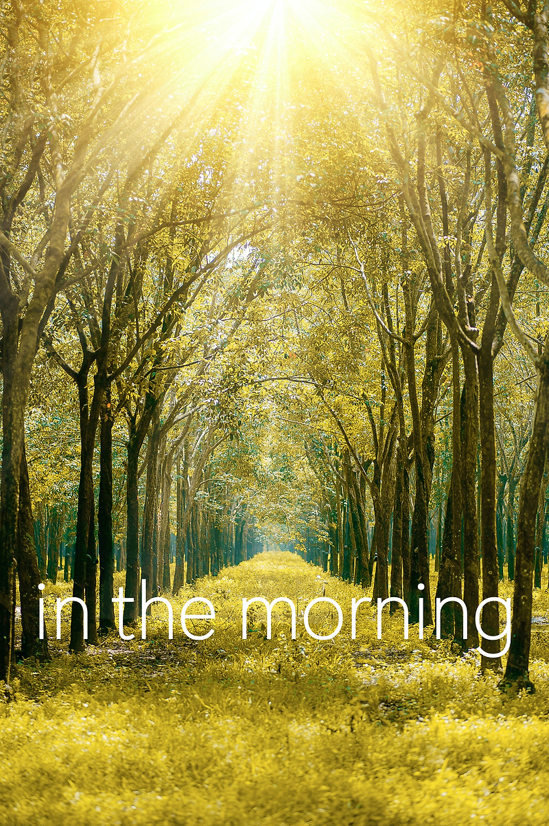 전치사 in 뜻 용법 in the morning