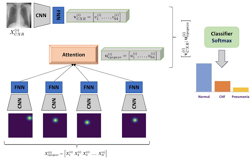 [Medical][Data] Creation and validation of a chest X-ray dataset with ...