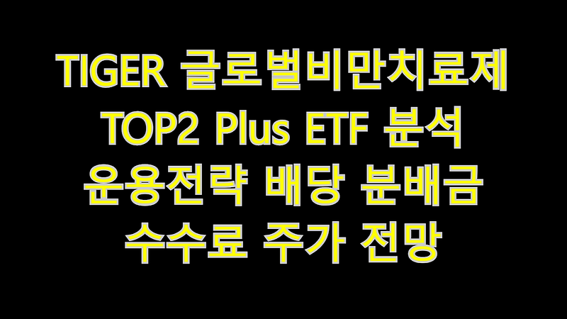 TIGER 글로벌비만치료제TOP2 Plus ETF 분석 운용전략 배당 분배금 수수료 주가 전망