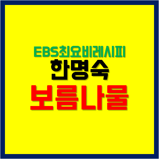 ebs최요비레시피 한명숙 보름나물취나물, 호박고지나물, 가지나물