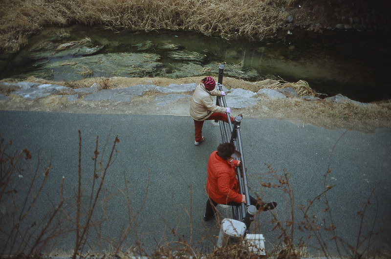 Nikon SP / CZJ Topogon 25mm F4 / Kodak E100G