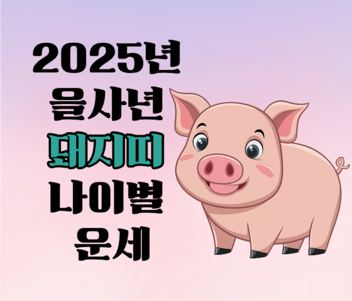 2025년 을사년 돼지띠 나이별 신년운세