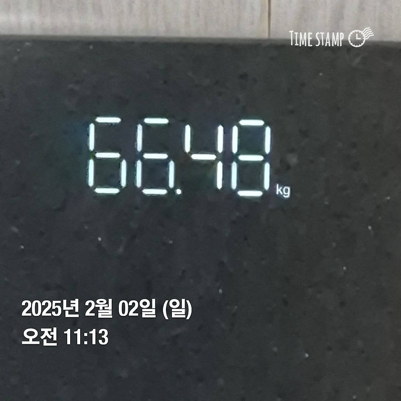 다이어트 #11 (66.48kg)