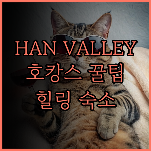 HAN VALLEY 호텔 후기 조용하고 아늑한 휴식 추천해요 HANVALLEY 호캉스 힐링