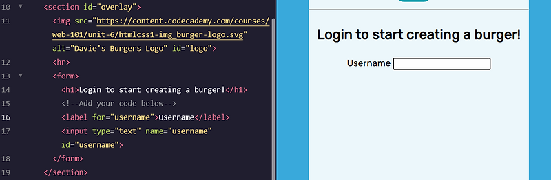 [HTML] HTML Forms - codecademy