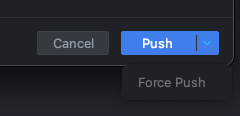 IntelliJ - Git Force Push 활성화 방법