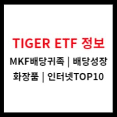 타이거(TIGER) MKF배당귀족, 배당성장, 화장품, 인터넷TOP10 ETF (종목, 배당금, 특징 등)