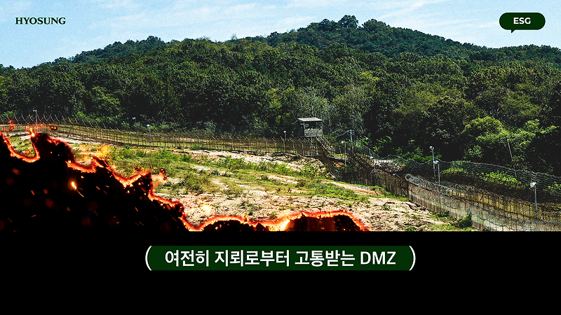 여전히 지뢰로부터 고통받는 DMZ