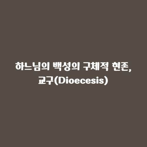 하느님 백성의 구체적 현존, 교구 (Dioecesis)