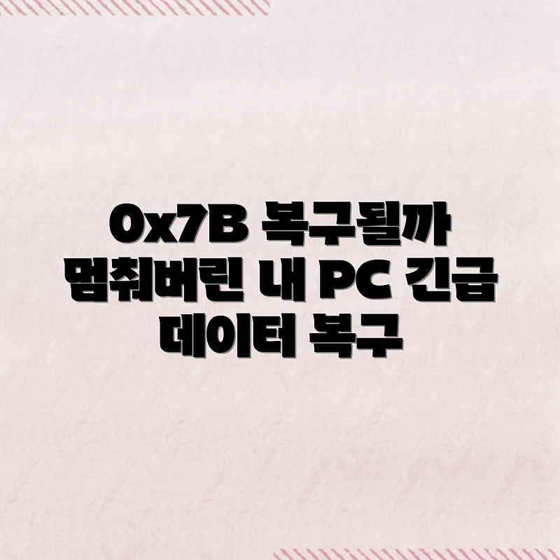 0x0000007b 오류, 데이터 복구될까요? — hungrylobster