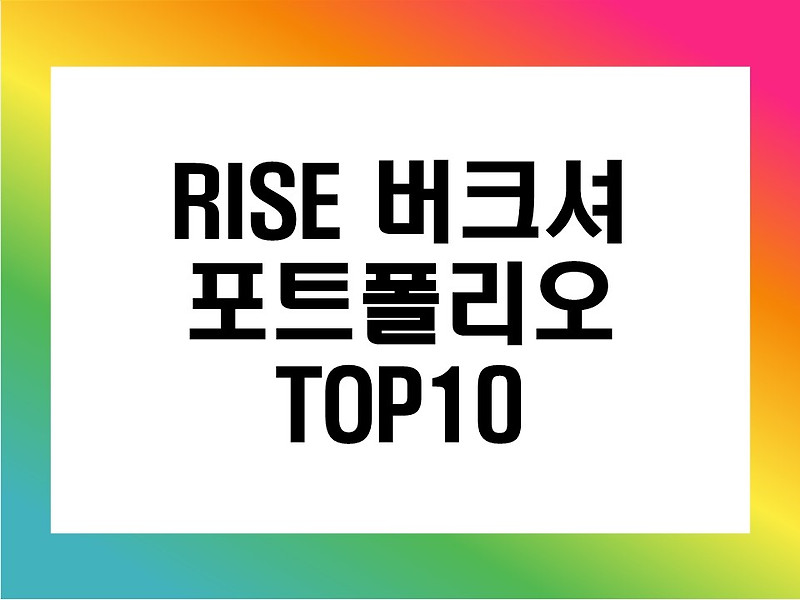 RISE 버크셔포트폴리오TOP10