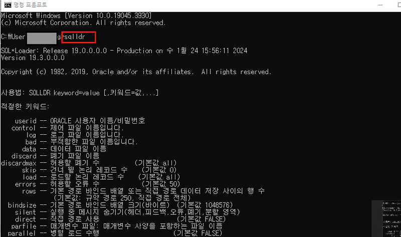 window - oracle sql loader 사용법 정리 및 예시 :: BLUEMINT