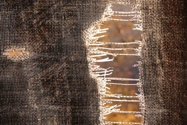 부모가 해야 할 일 - 다섯 번째 :: laeon 님의 블로그