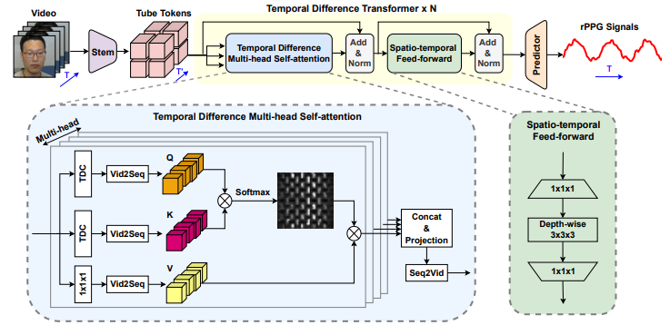 PhysFormer: Facial Video-Based Physiological Measurement with Temporal Difference Transformer ...