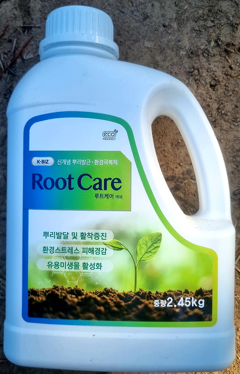 대유 RootCare(루트케어) :: infos
