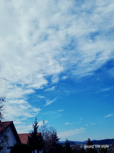 20241110 log 무사귀환 :: bspig' life style