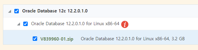 [ORACLE] Oracle Database 12c R2 Single 설치 GUI 모드
