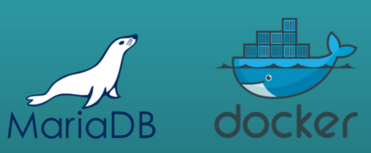 docker에서 mariadb 설치하기