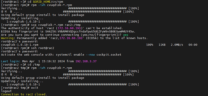 [Oracle Linux 8.6] Oracle 19c Real Application Cluster 설치(4)