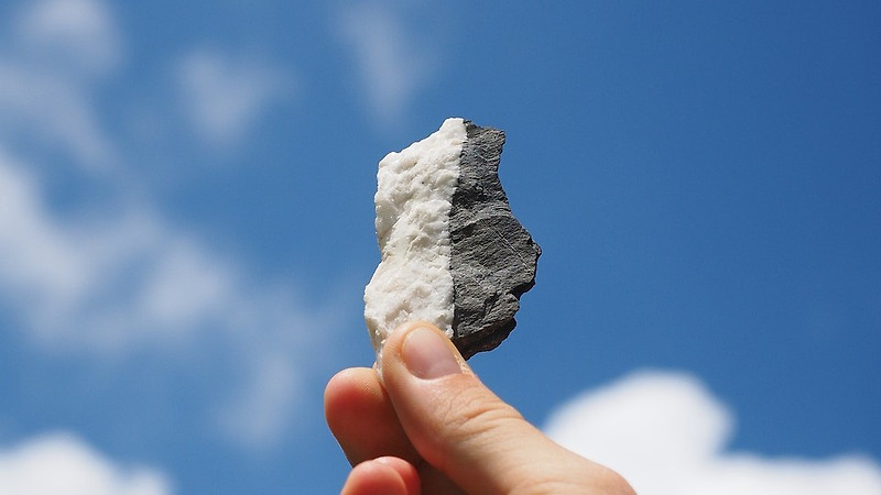 음양이기학 - 자연과 인간의 조화를 찾는 이야기