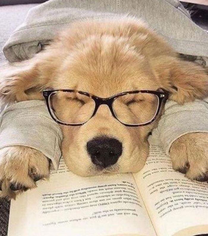 본캠프 4주차 2일- (06/18)TIL