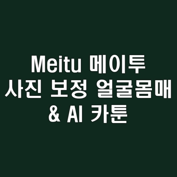 Meitu 메이투 사진 보정 얼굴몸매 & AI 카툰 PC버전 이용 방법 | 앱 설치하기