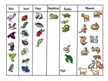 Tensorflow로 Fancy Softmax Clasification 구현