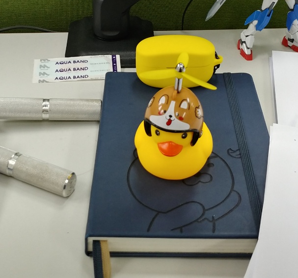 [자바] 백준 20001 - 고무오리 디버깅 (boj java) - Nahwasa