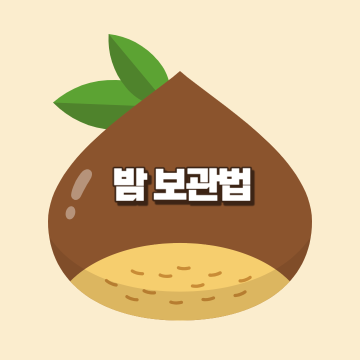 밤을 보관하는 방법 겉핥기상식
