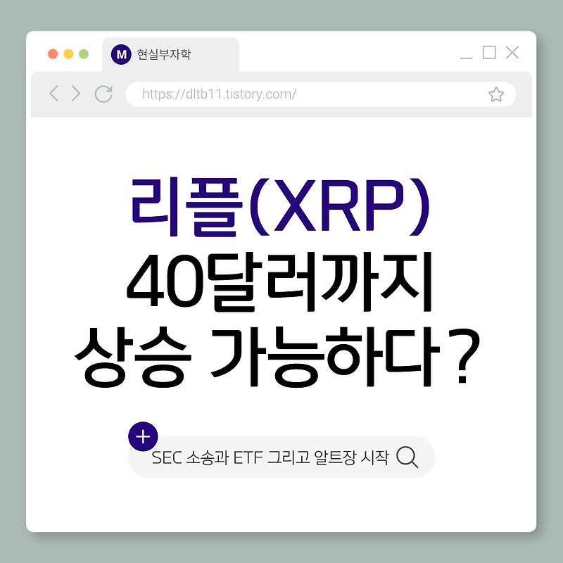 리플(XRP), 40달러까지 상승 가능? 그 원인과 다양한 근거 알아보기