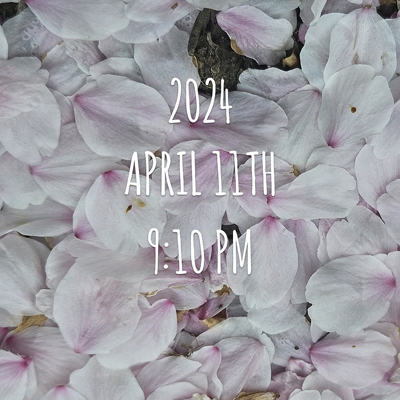 240411 - 1번의 서러움