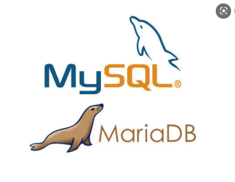 [Database/MySQL, MariaDB] MySQL 연결 시 Unable to load authentication plugin 'caching_sha2_password' 오류