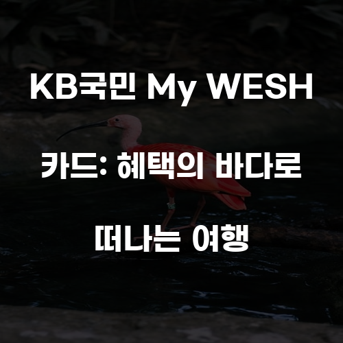 KB국민 My WESH 카드: 혜택의 바다로 떠나는 여행
