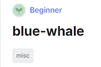 [Dreamhack] blue-whale
