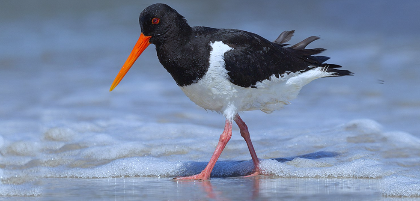 충남 서천군 인구수와 증감 2023년