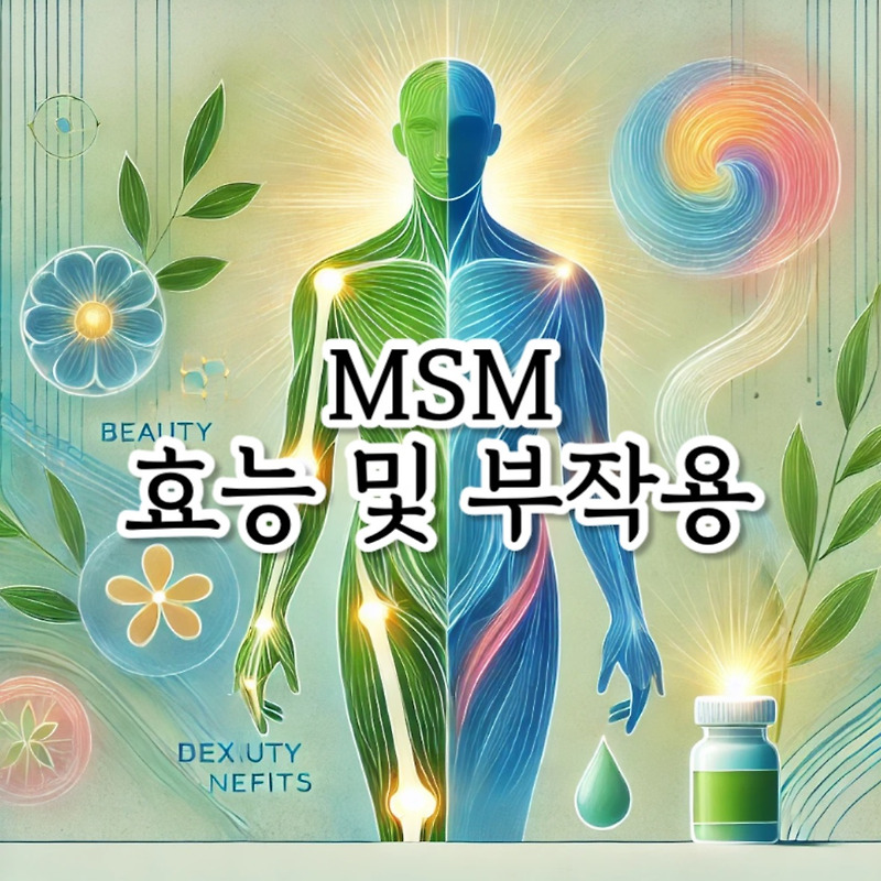 MSM 효능 섭취 방법 부작용 주의방법