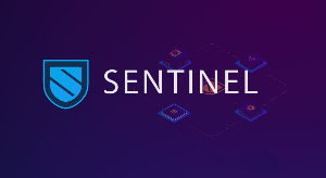 센티넬(Sentinel), DVPN 코인 5분만에 알아보자