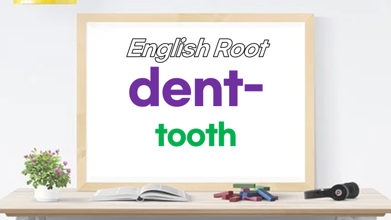 ENGLISH ROOT WORD: dent- from Latin dens, dentis