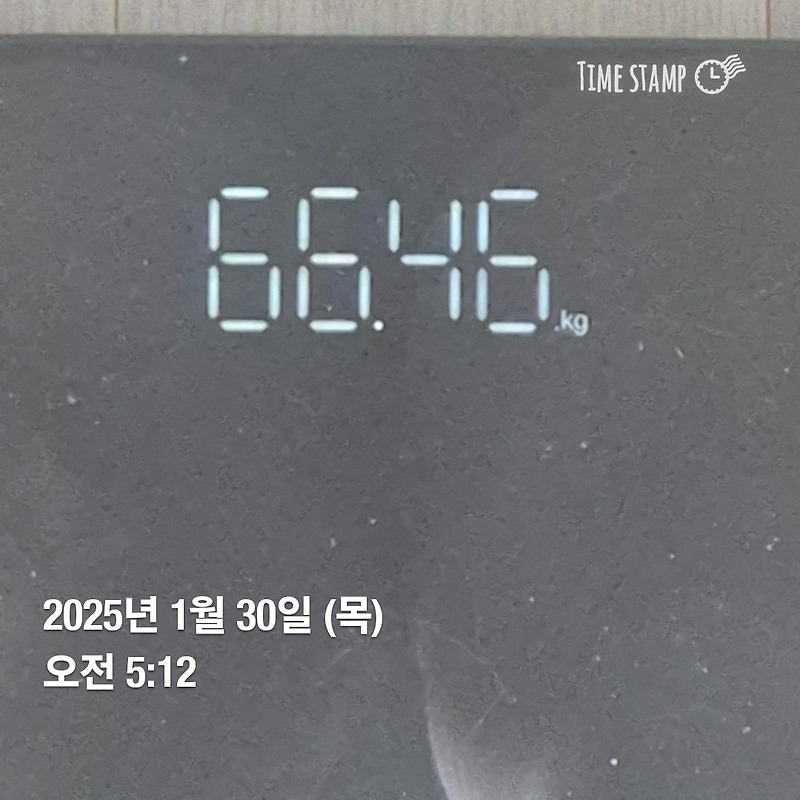 다이어트 #9 (66.46kg)