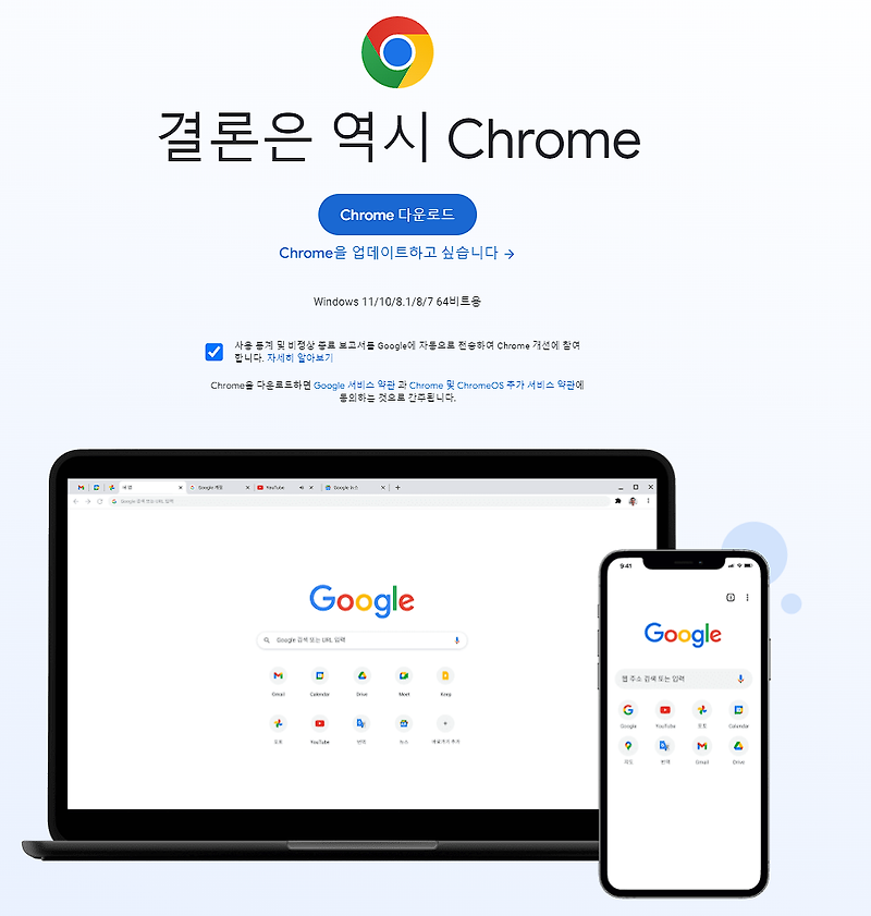 Google Chrome 125.0.6422.142 - 웹브라우저