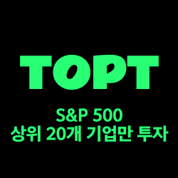 TOPT : 미국 주식, 줄 세우고 20등까지만 추종.