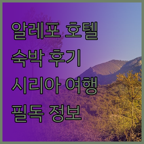 알레포 Ramasis 호텔 숙박 후기 완벽 분석 시리아 여행객 필독
