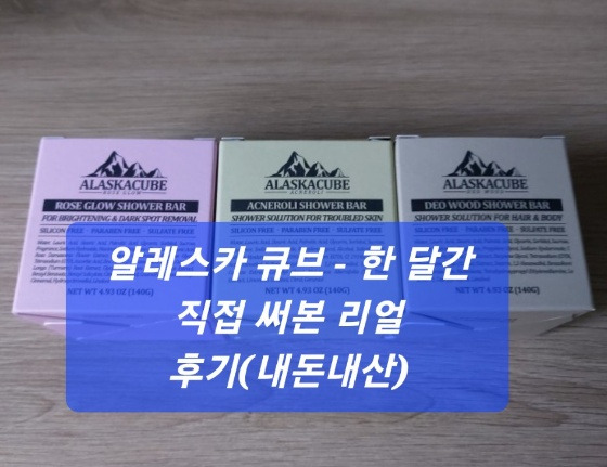 알레스카 큐브 - 한 달간 직접 써본 리얼 후기(내돈내산)