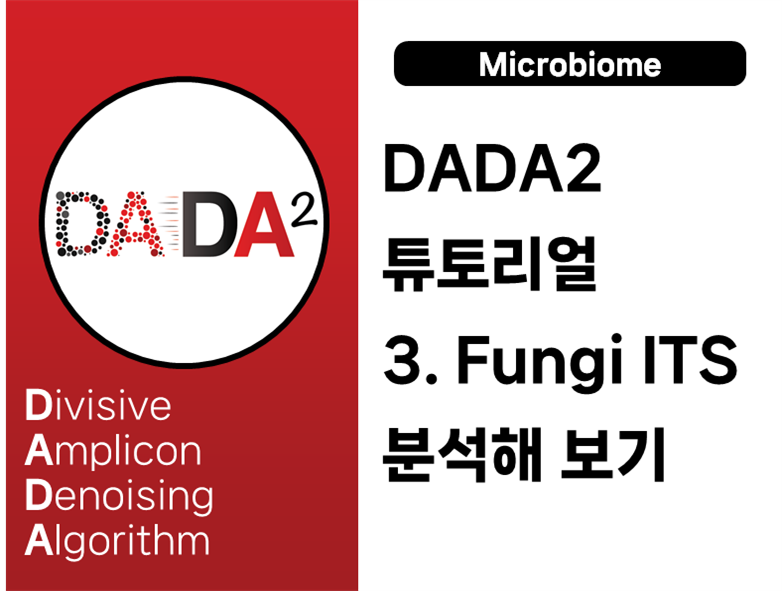 [DADA2] Dada2 ITS Tutorial — Bioinfo_newbie