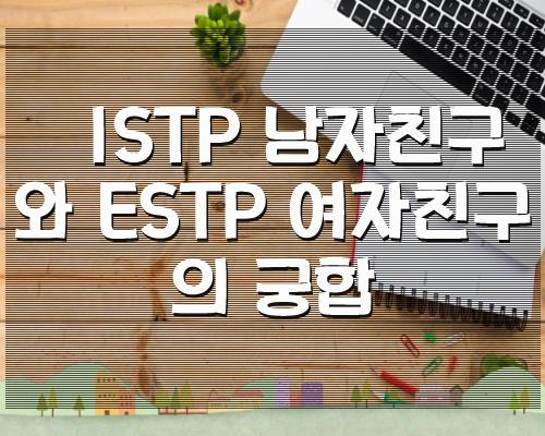Istp 남자친구와 Estp 여자친구의 궁합