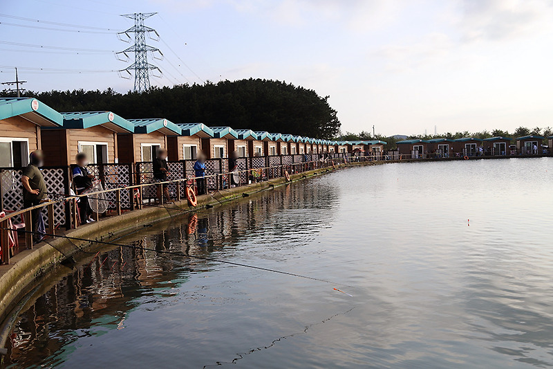[인천 옹진군] 선재바다낚시공원