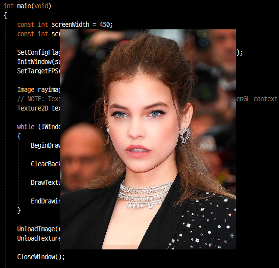 Software Engineer :: [raylib] Transparent Window(Window Flags)