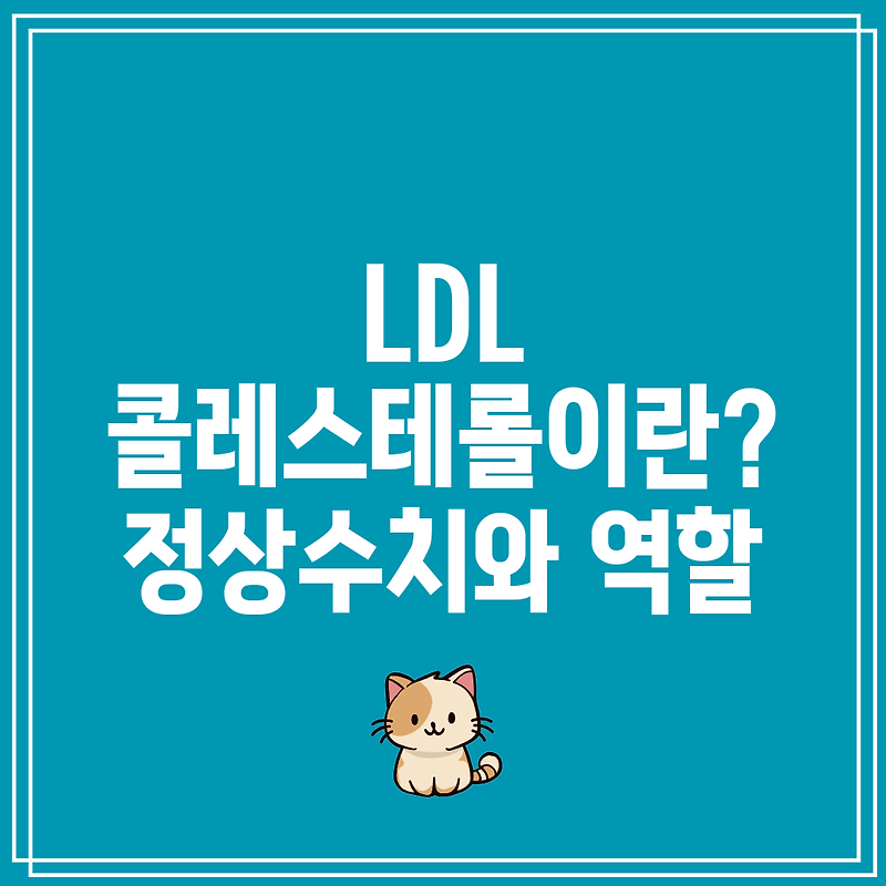 LDL 콜레스테롤이란? 정상수치와 역할