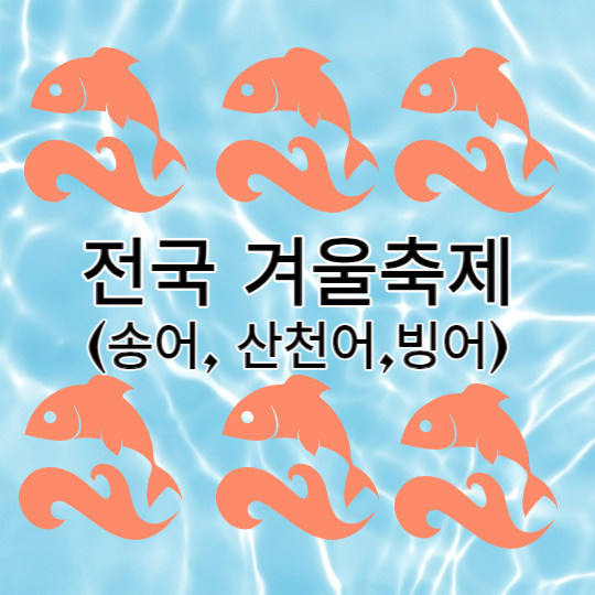 전국 겨울 축제 : 평창 송어, 화천 산천어, 인제 빙어축제