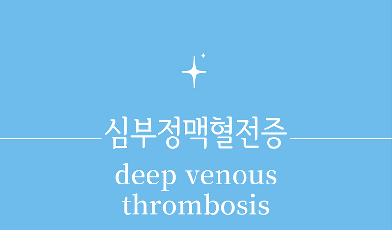 심부정맥혈전증deep Venous Thrombosis원인증상예방법음식